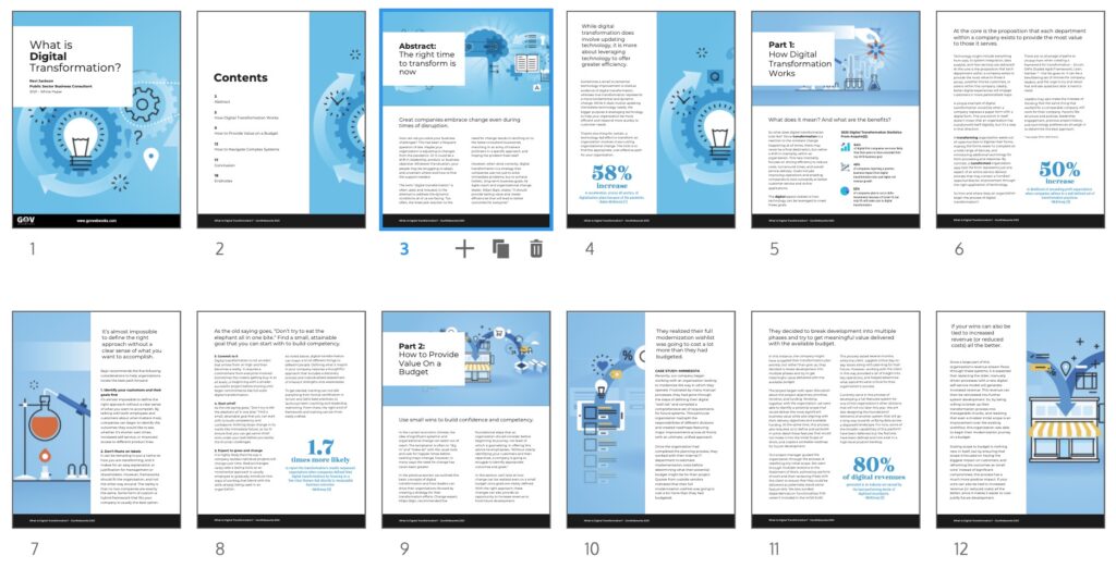 What is Digital Transformation? - White Paper – GovWebworks